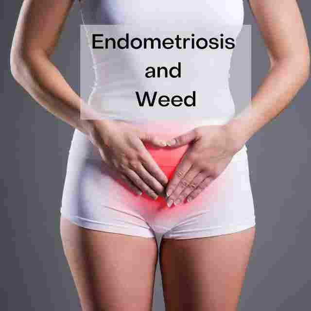 Mother Flower: Endometriosis and Weed - Athena's Gifts Blog