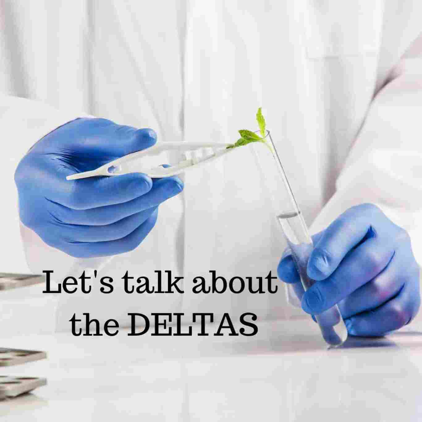 LET'S TALK ABOUT THE DELTAS! - Athena's Gifts Blog