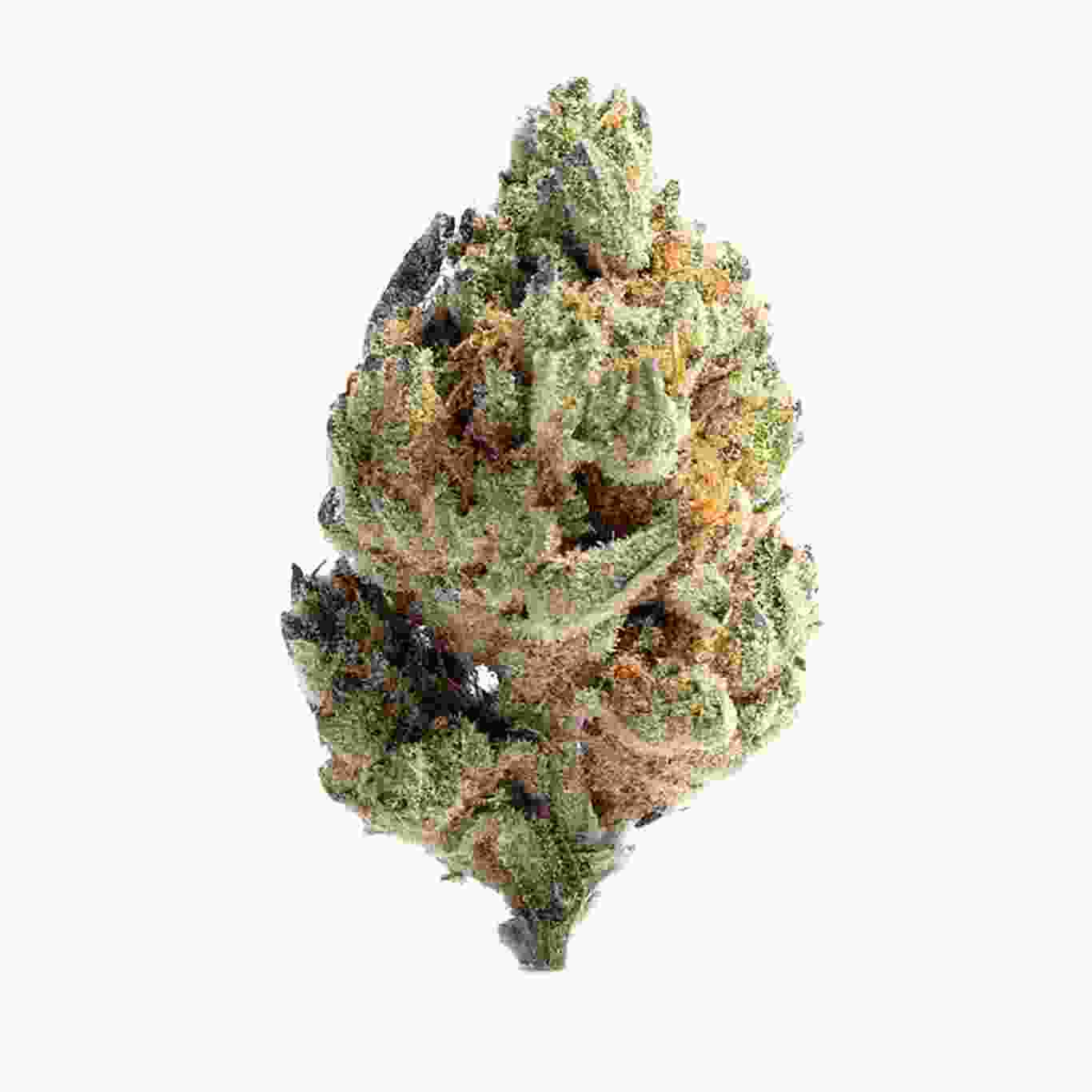 Black Widow Strain Details - Weed Delivery DC - Athena's Gifts